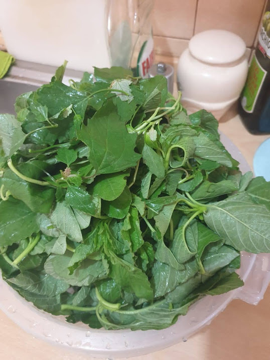 How To Cook Amaranthus|An Easy Albanian Recipe | Family Cooking Recipes