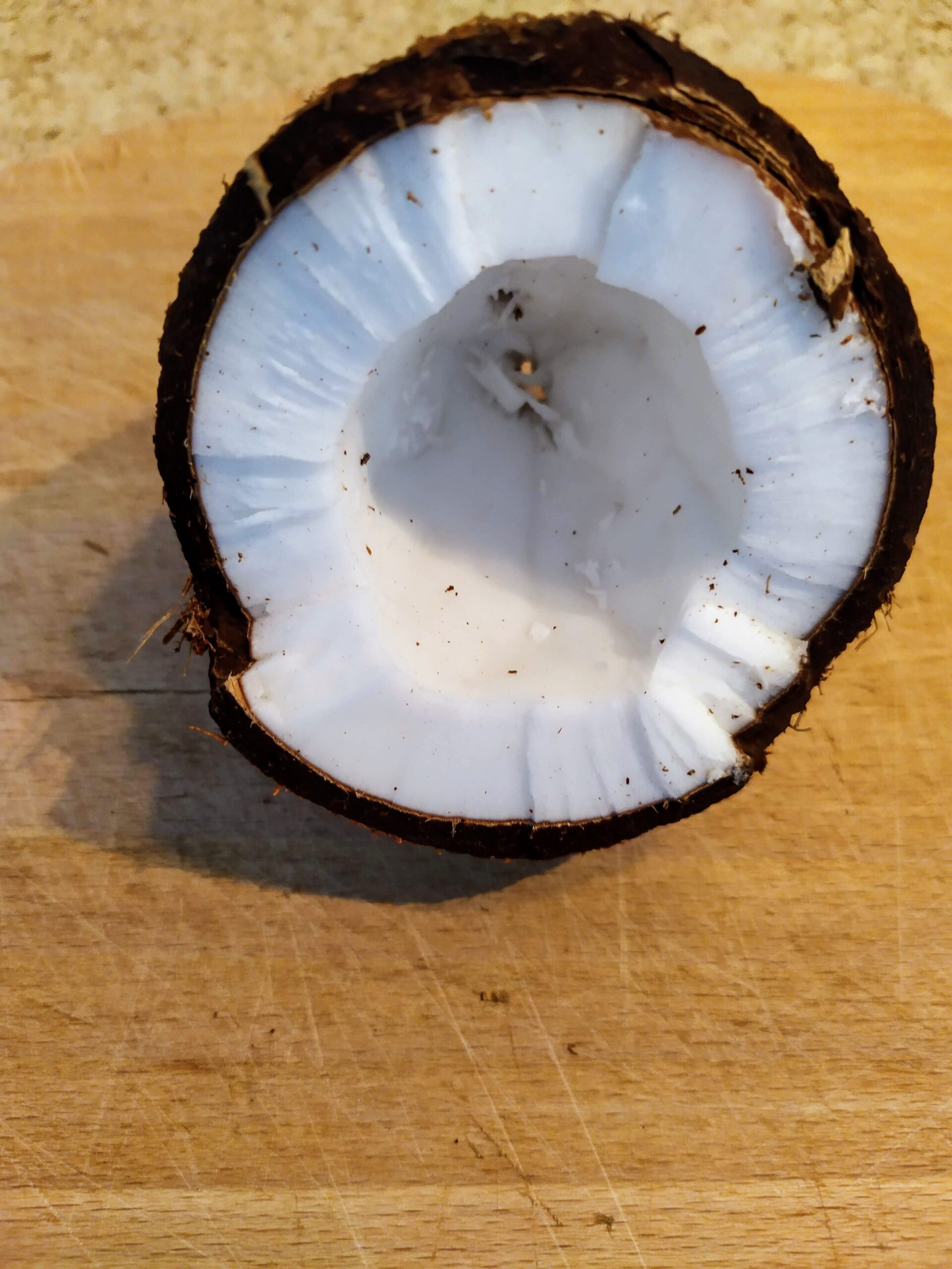 Easy Homemade Coconut Milk | Family Cooking Recipes