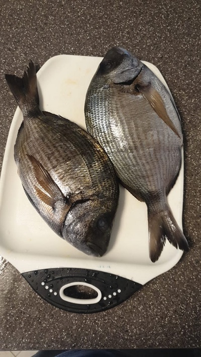 Pan-Fried Sea Bream-Peshk Koce (Bishtë Zeza) Deti Në Tigan